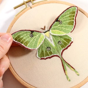 Luna Moth Embroidery Pattern, Stumpwork Embroidery Pattern, 3D Insect ...
