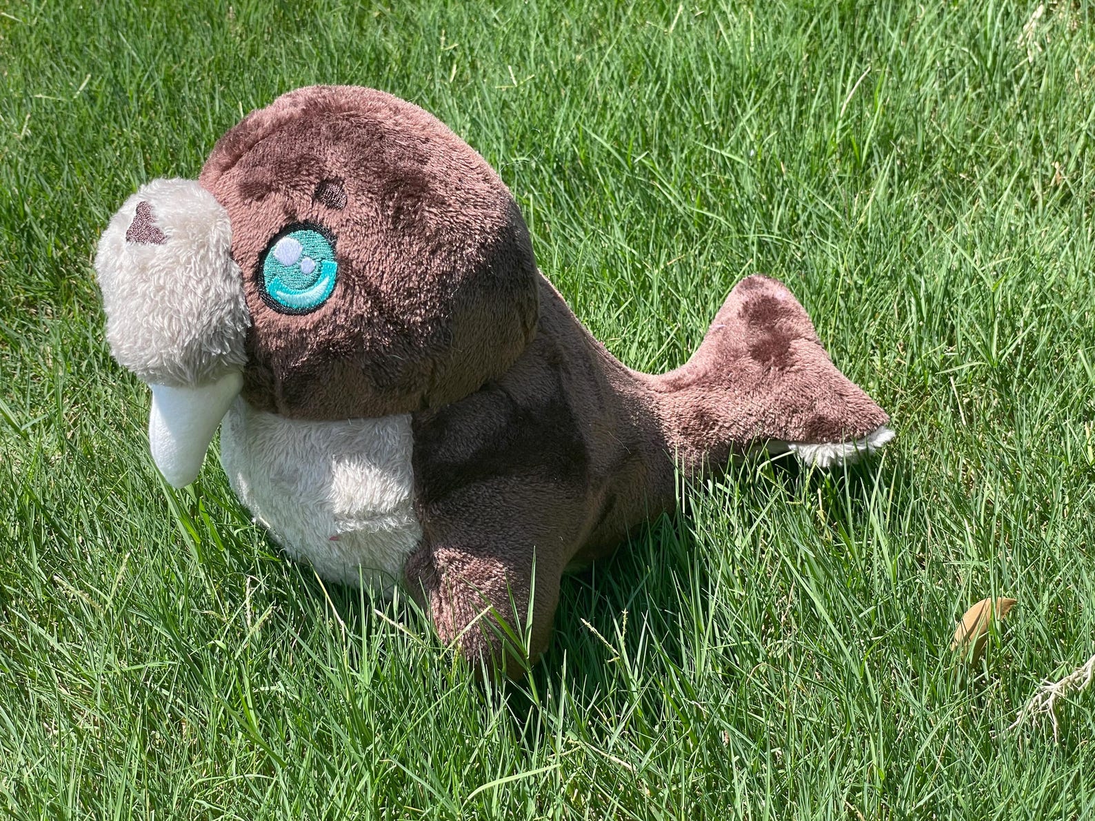 Walrus Plush - Etsy