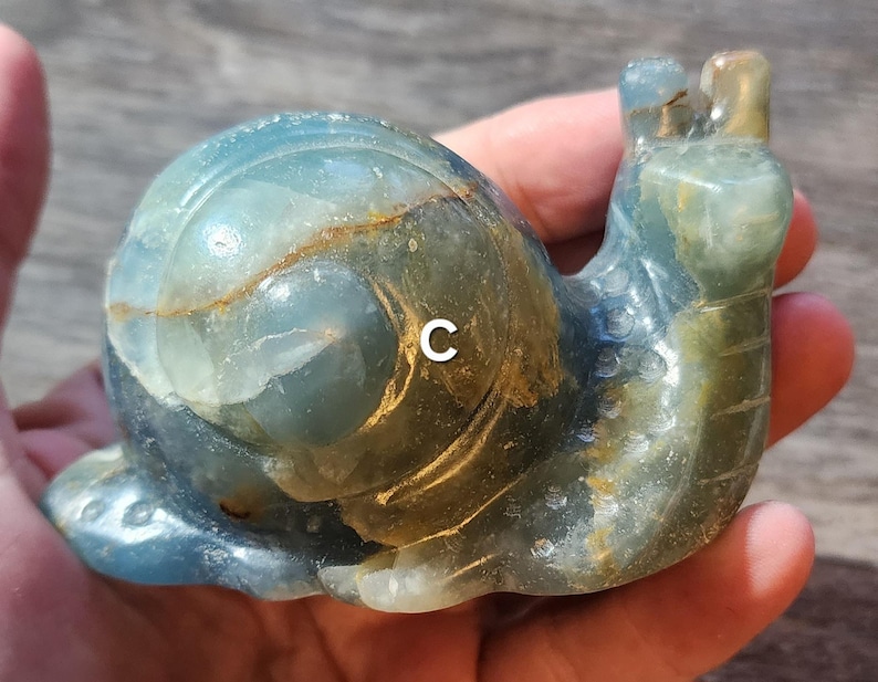 CUTE Snail Carvings Hand Carved Genuine Crystals Gemstones Ocean Jasper ...