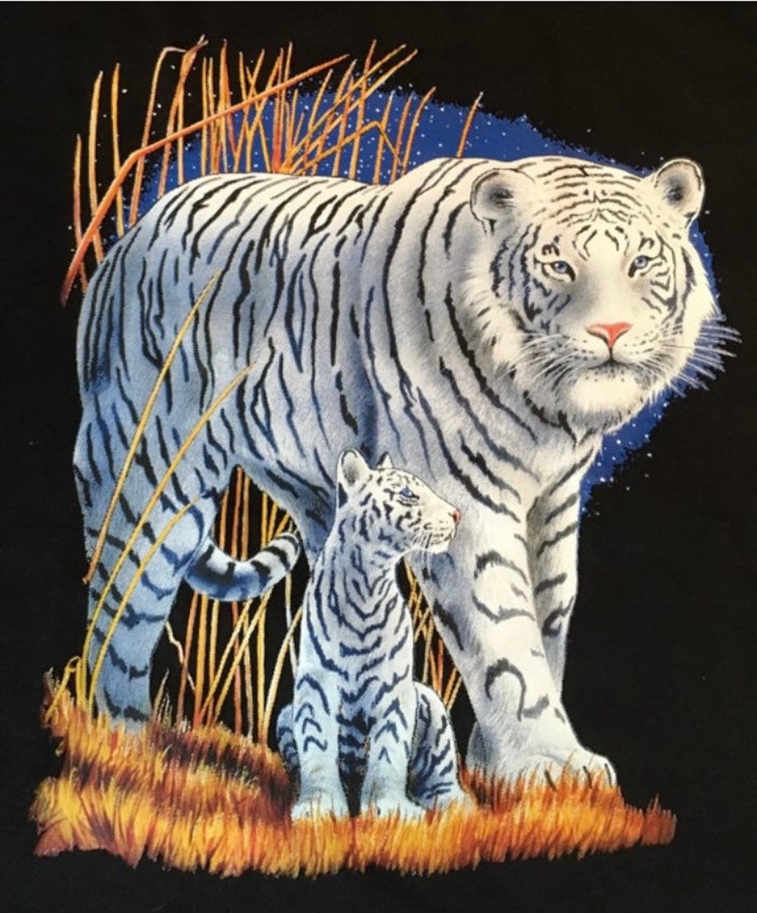 Your Choice Bengal Tiger,lion,cheetah, Leopard and More Exotic Cats ...