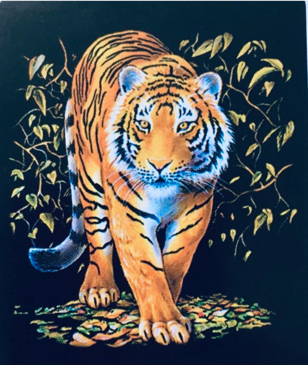 Your Choice Tiger T Shirt Vintage Designs ,wild Tigers, Exotic Big Cats ...