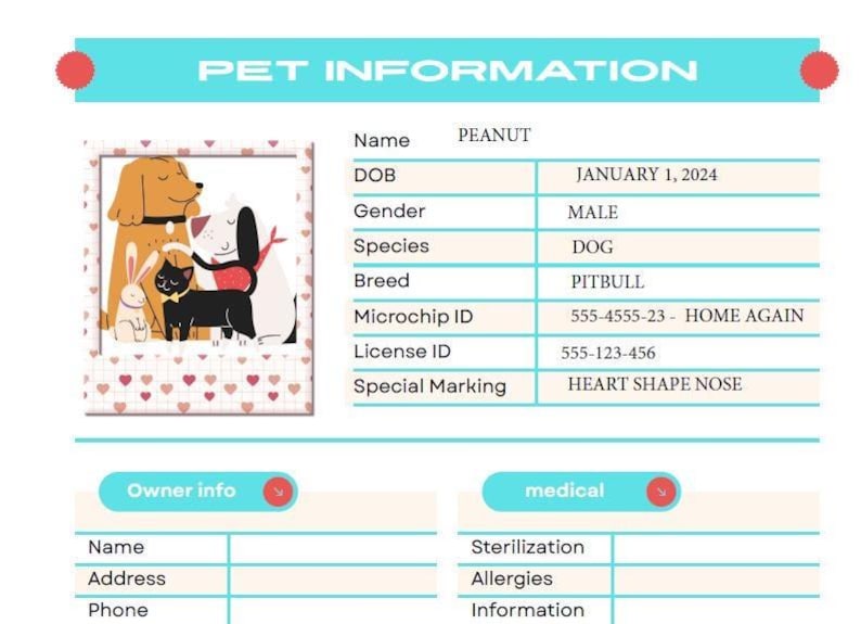 Editable Pet Sitter Info Sheet (canva Template) - Etsy