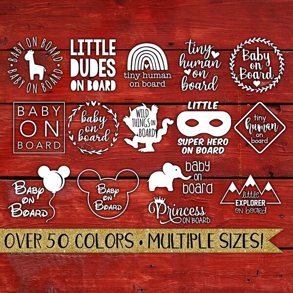 Wisconsin Native Fish Species Poster - Etsy