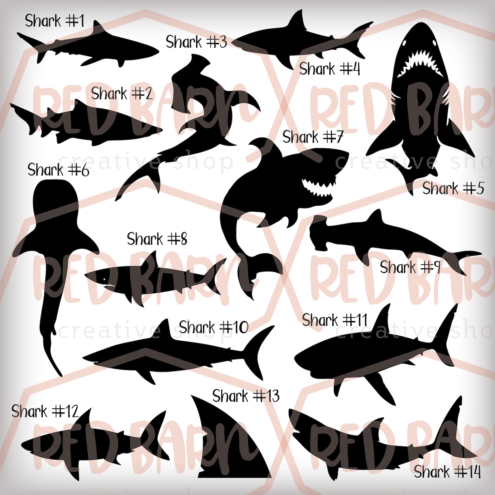 Shark Name Decal Shark Name Sticker Shark Name Label Great | Etsy