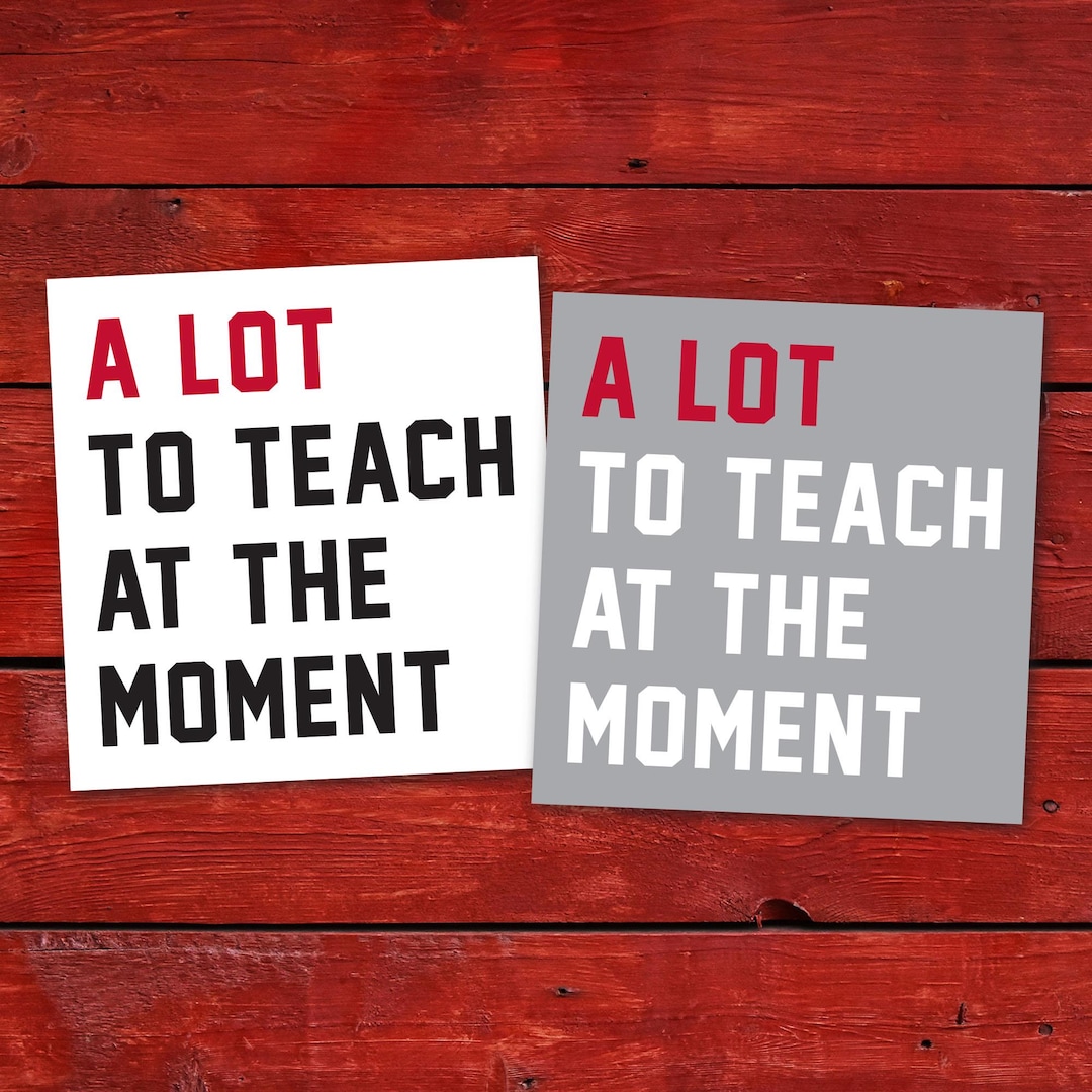 Teacher Stickers, Taylor Swift Inspired, Teacher Decal, A Lot to Teach ...