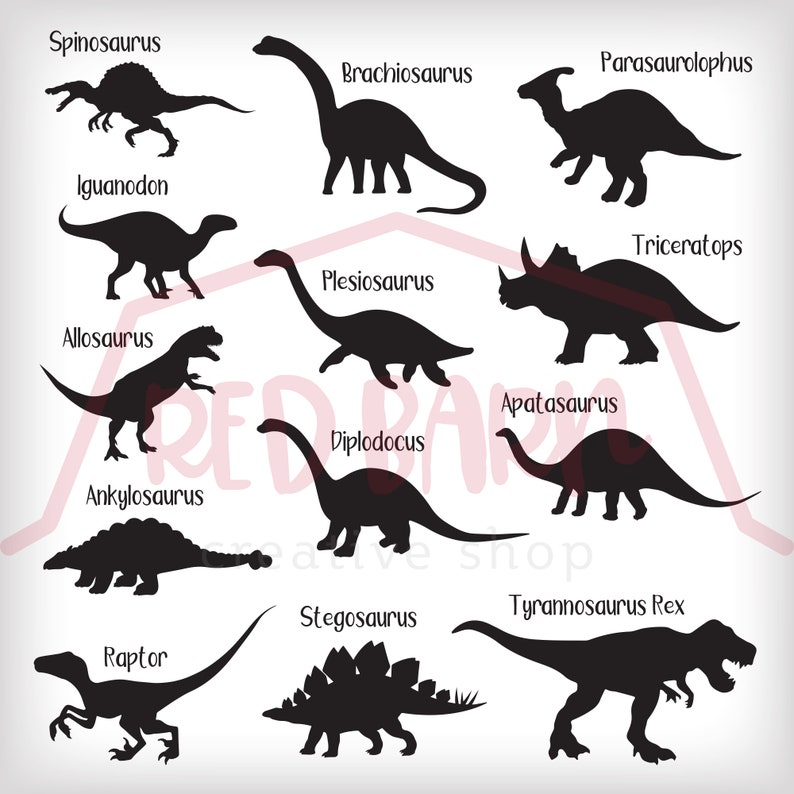 Dinosaur Decal Dinosaur Stickers Dinosaur Labels Name | Etsy