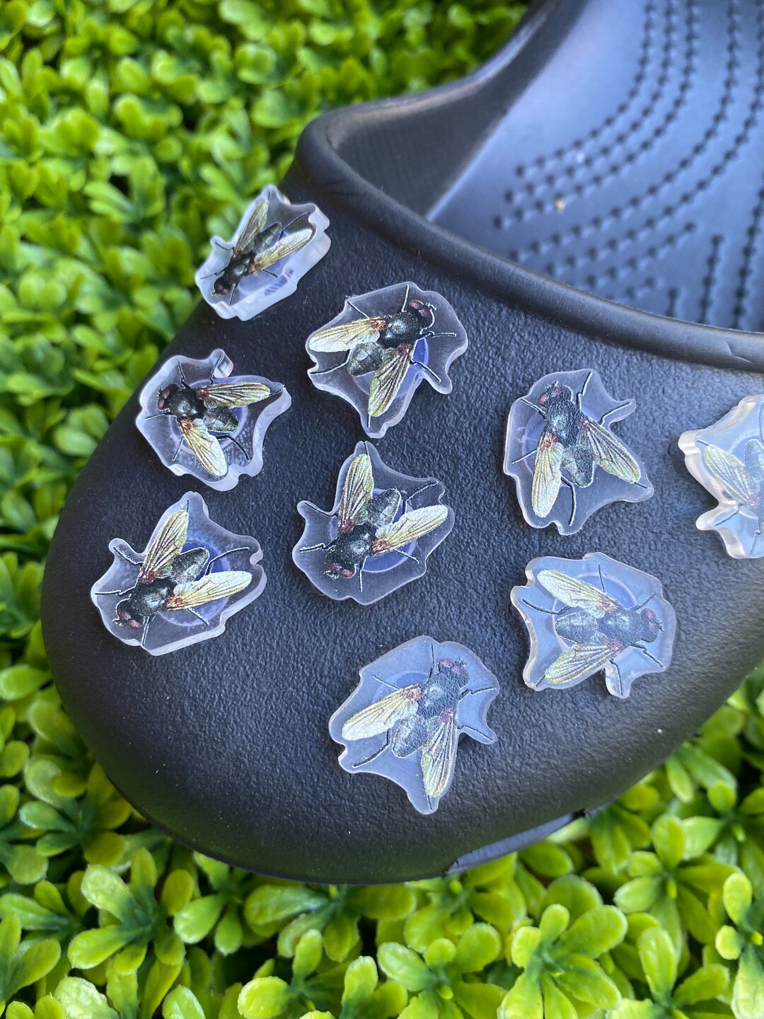 House Fly Shoe Charm Insect Acrylic Croc Charm Gag Gift - Etsy