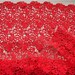 Red Lace Fabrics Crocheted Gown Fabric Hollowed Out - Etsy UK