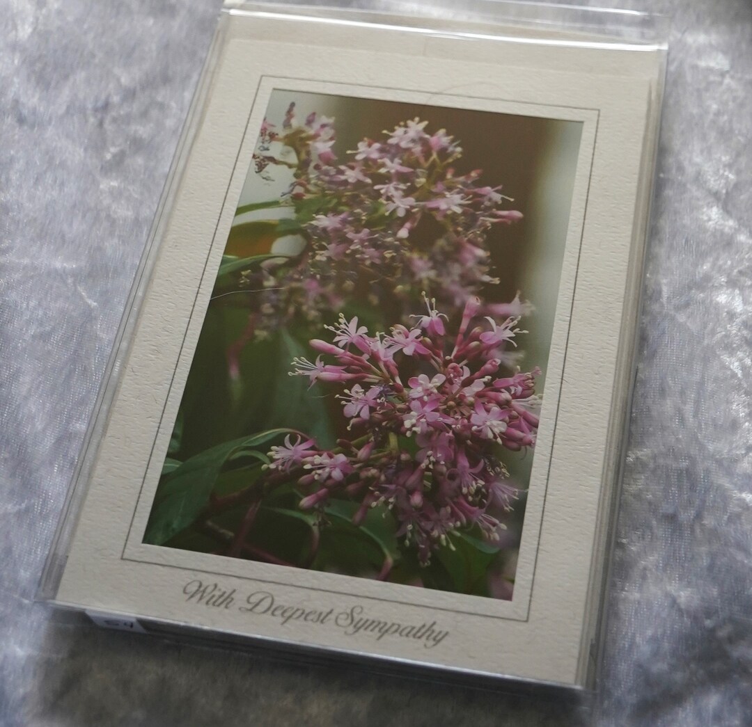 Sympathy Cards Package of 5 - Etsy