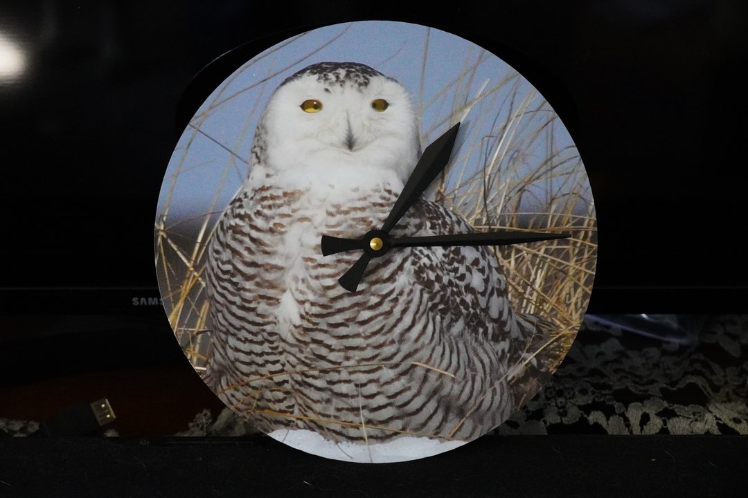 Clock - 8" X 8" on Metal - Snowy Owl - Etsy