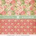Floral Digital Paper Coral Digital Paper Pack Vintage | Etsy