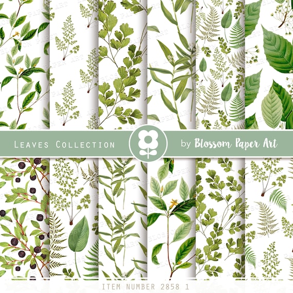 Scrapbooking Paper Green