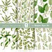 Leaves Digital Paper, Leaves Scrapbook Collage Sheet, Green ...