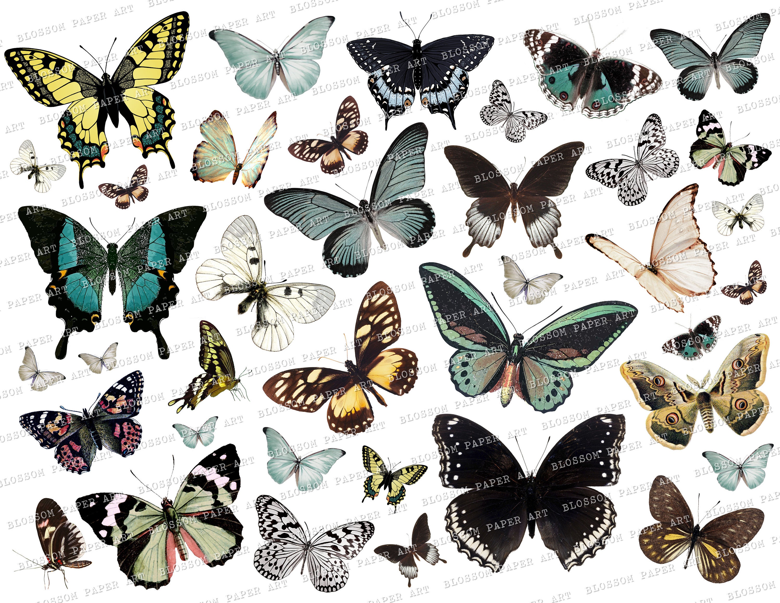 Vintage Butterflies Printable Collage Sheet Junk Journal - Etsy