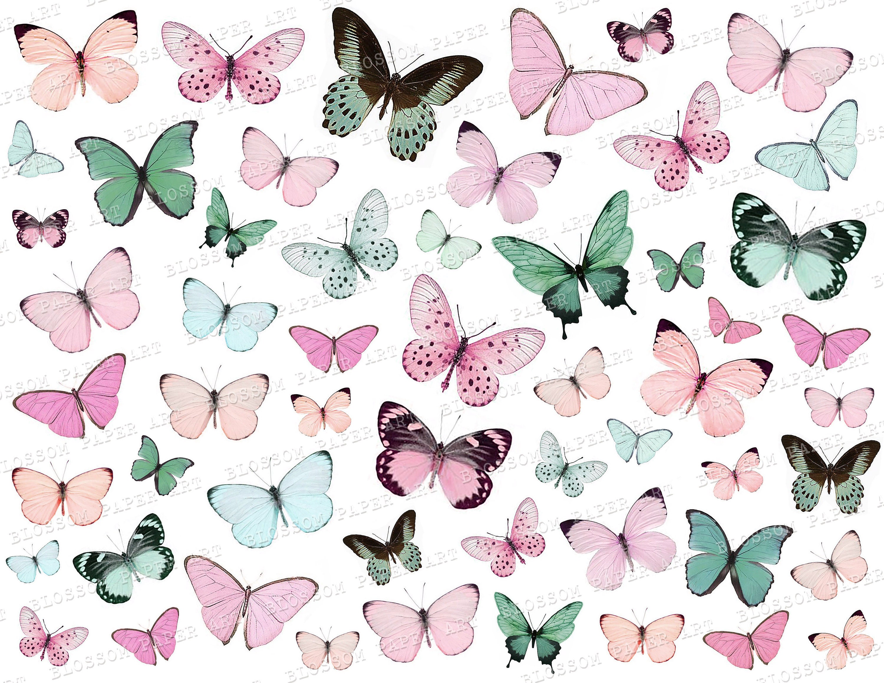 Butterfly Cut Out