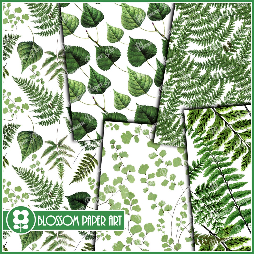 Digital Paper Leaves Digital Paper Pack Green, Plants, INSTANT DOWNLOAD ...