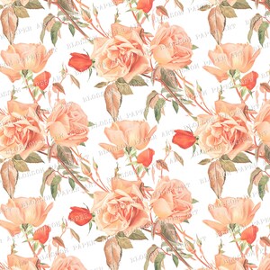 Scrapbook Paper, Rose Scrapbooking Paperfloral Paper A4, 8,5x11 Sheets ...