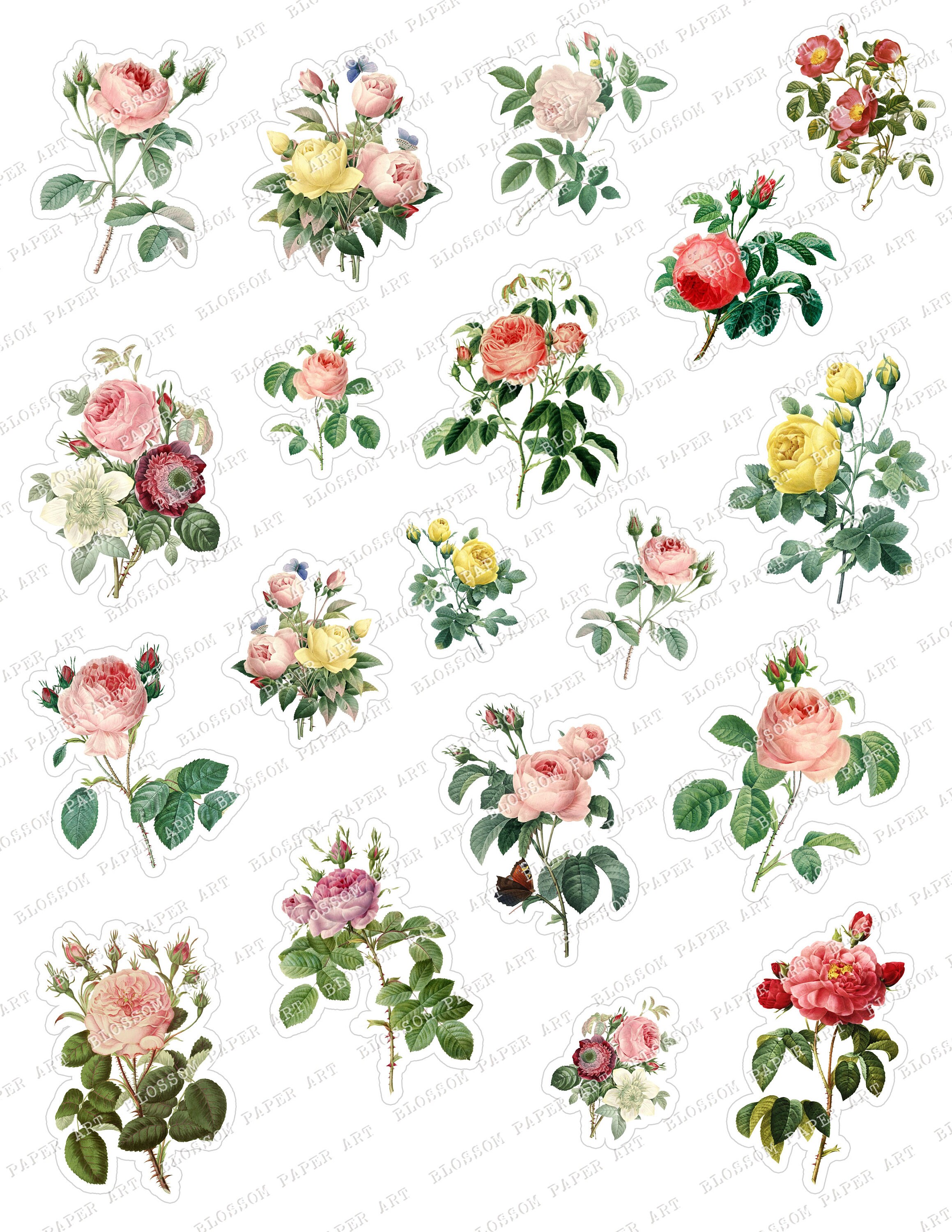 VINTAGE ROSES Stickers Digital Collage Printable Sheets | Etsy