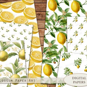 LEMON Digital Paper, Lemonade Printable Collage Sheet for Scrapbooking ...