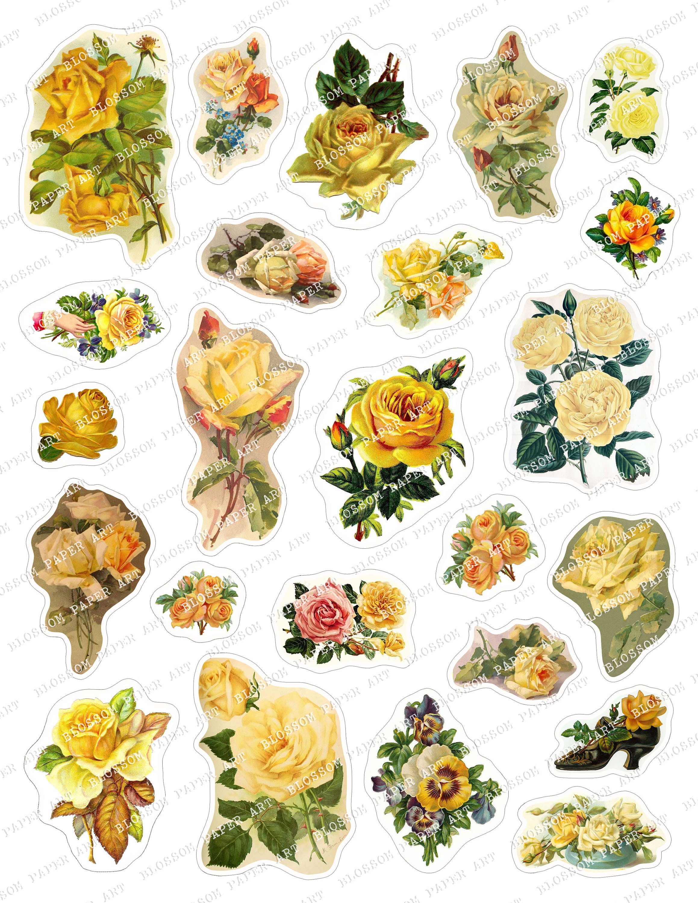 Printable Stickers VINTAGE Yellow Roses Digital Stickers - Etsy