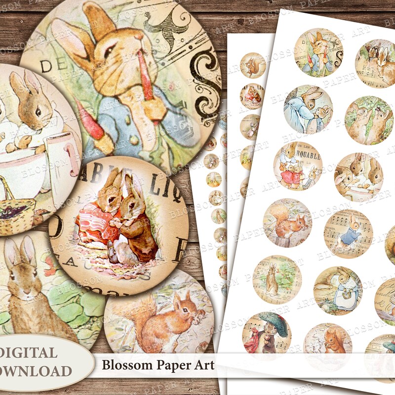 Peter Rabbit Image - Etsy