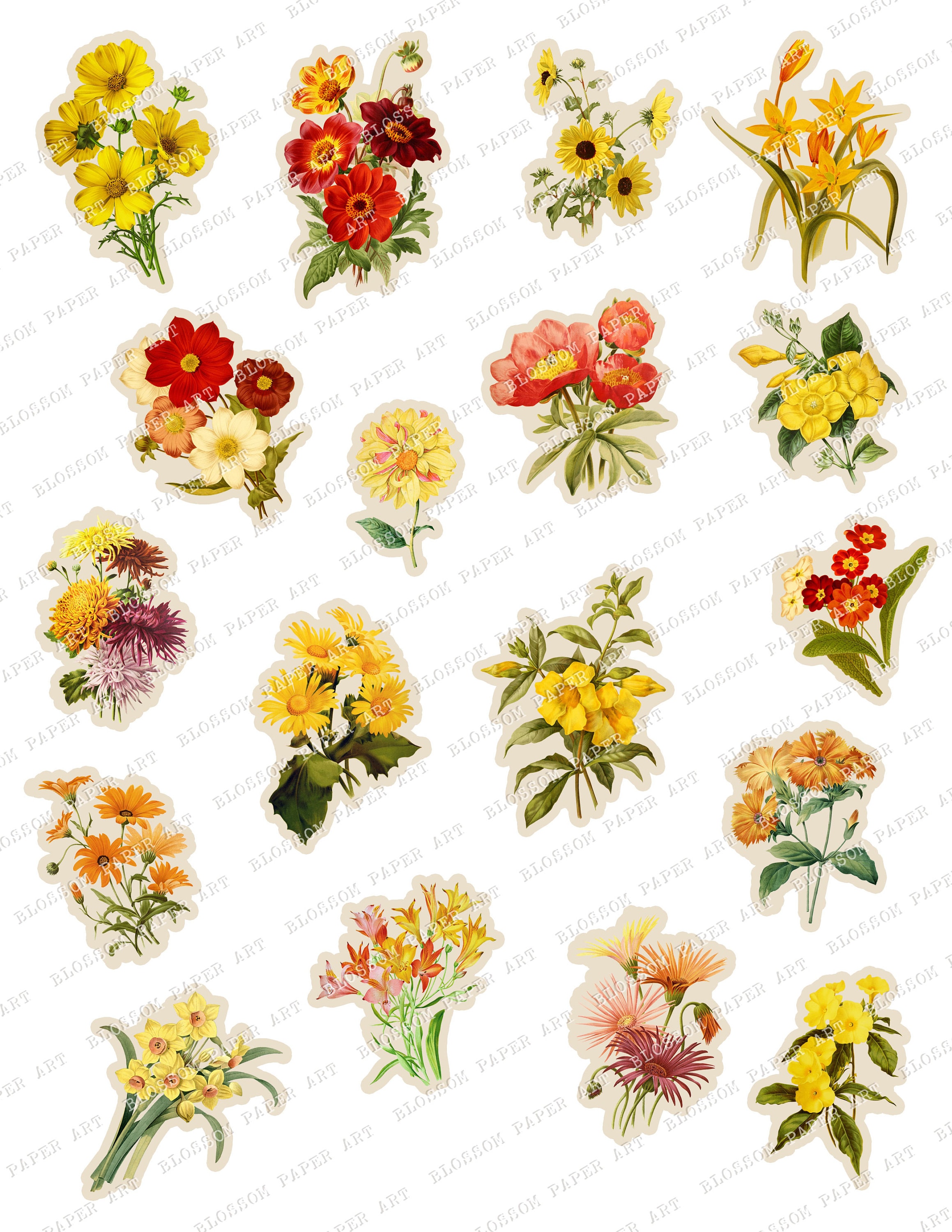Printable Stickers FLOWERS Digital Collage Vintage Collage - Etsy