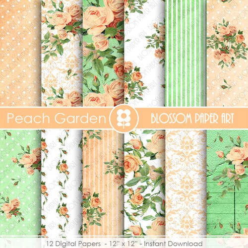 PEACH ROSES Digital Paper Digital Paper Pack Wedding - Etsy