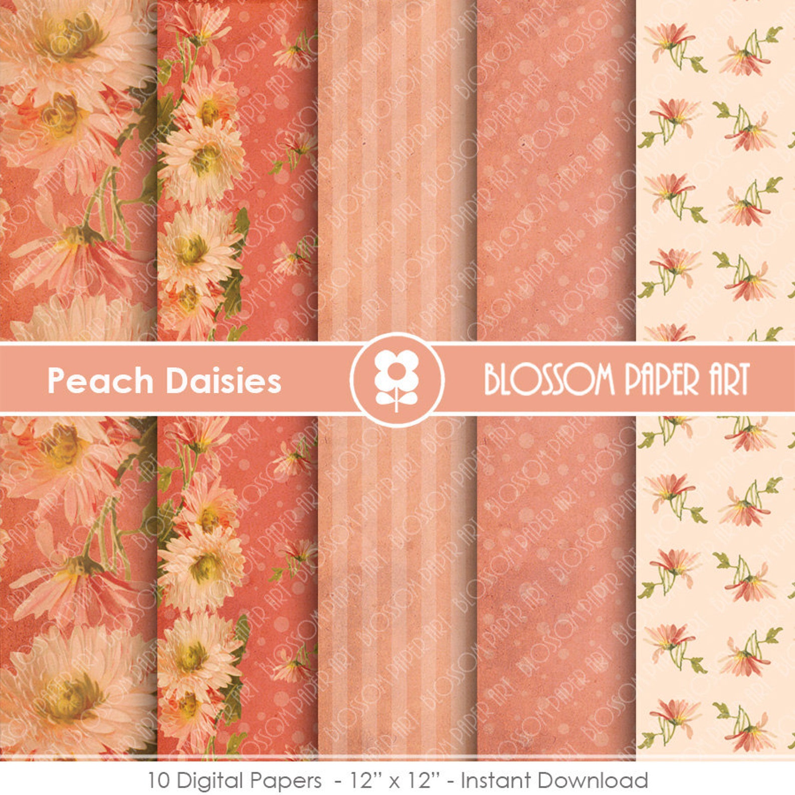 Digital Paper Peach Digital Paper Pack Daisies Floral - Etsy