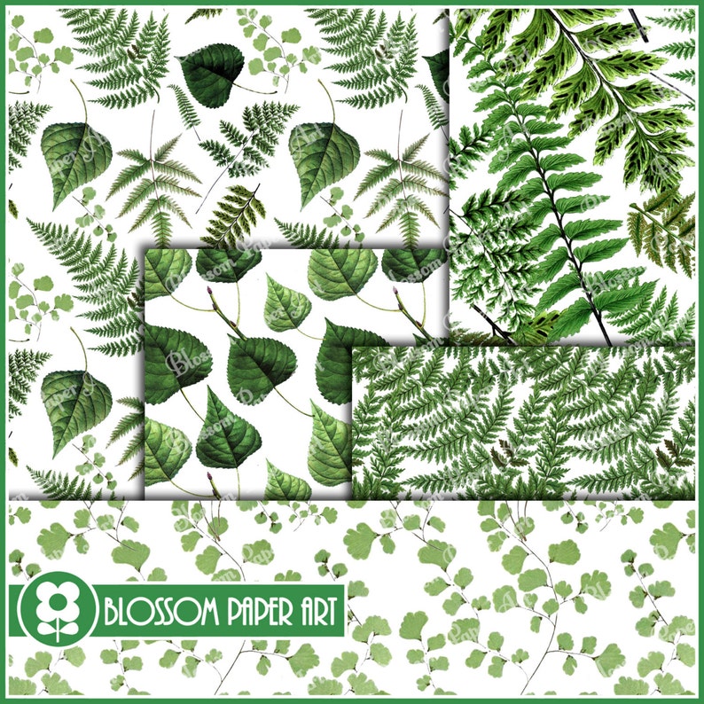 Digital Paper Leaves Digital Paper Pack Green Plants INSTANT | Etsy
