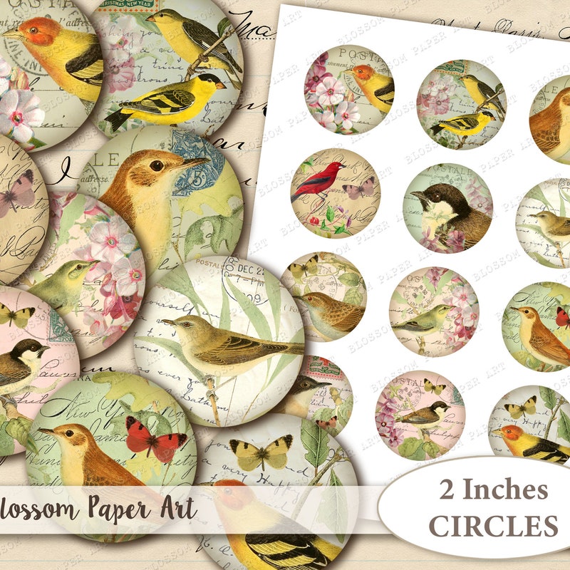 Circle Birds - Etsy