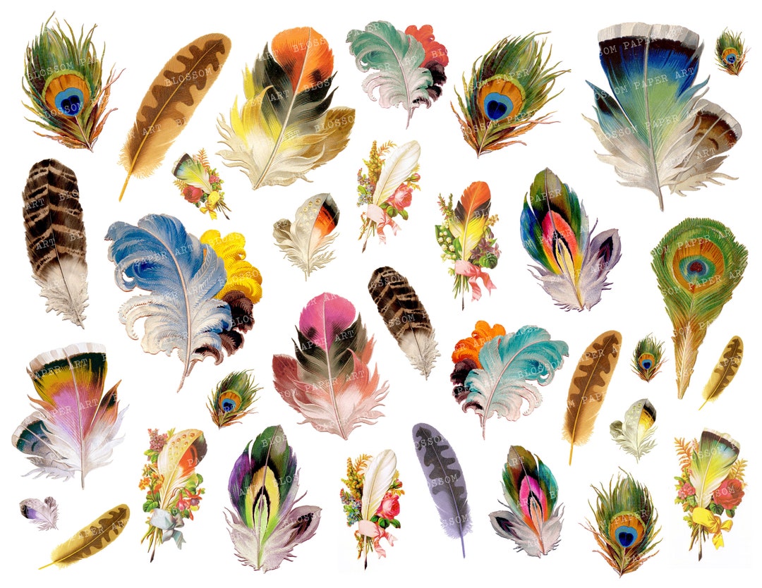 Feathers Printable Collage Sheet Junk Journal Vintage Ephemera Digital ...