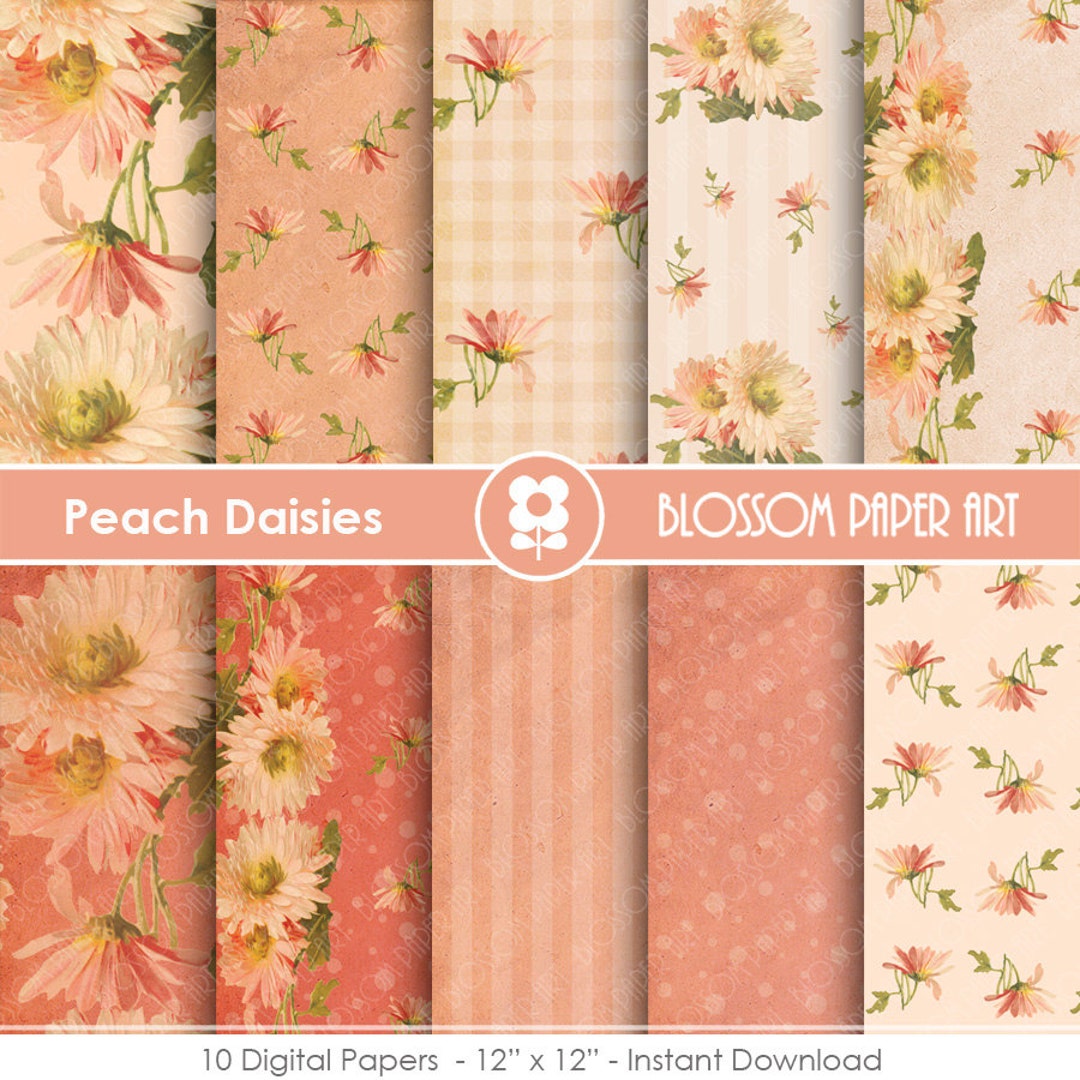 Digital Paper, Peach Digital Paper Pack, Daisies, Floral Designs ...