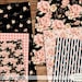 Black Digital Papers, Floral Scrapbook Paper Pack, Black and Coral ...