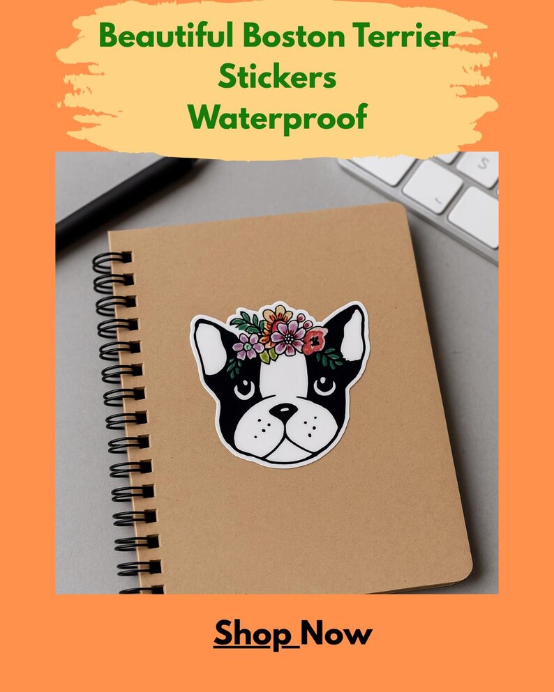 Boston Terrier Sticker: Hand-drawn Vinyl Decal - Dog Lover Gift - Etsy UK
