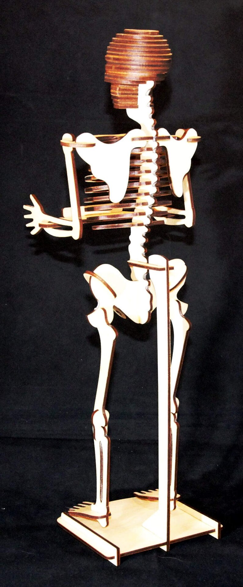 Skeleton Business Card Holder- Personalized -free Shipping - Etsy