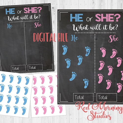 Guess the Baby Gender Boy or Girl Baby Shower Game He or She - Etsy