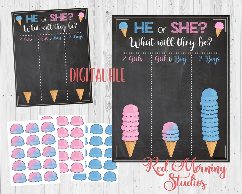 Twins Gender Reveal. Ice Cream Scoop Twins Gender Reveal. - Etsy