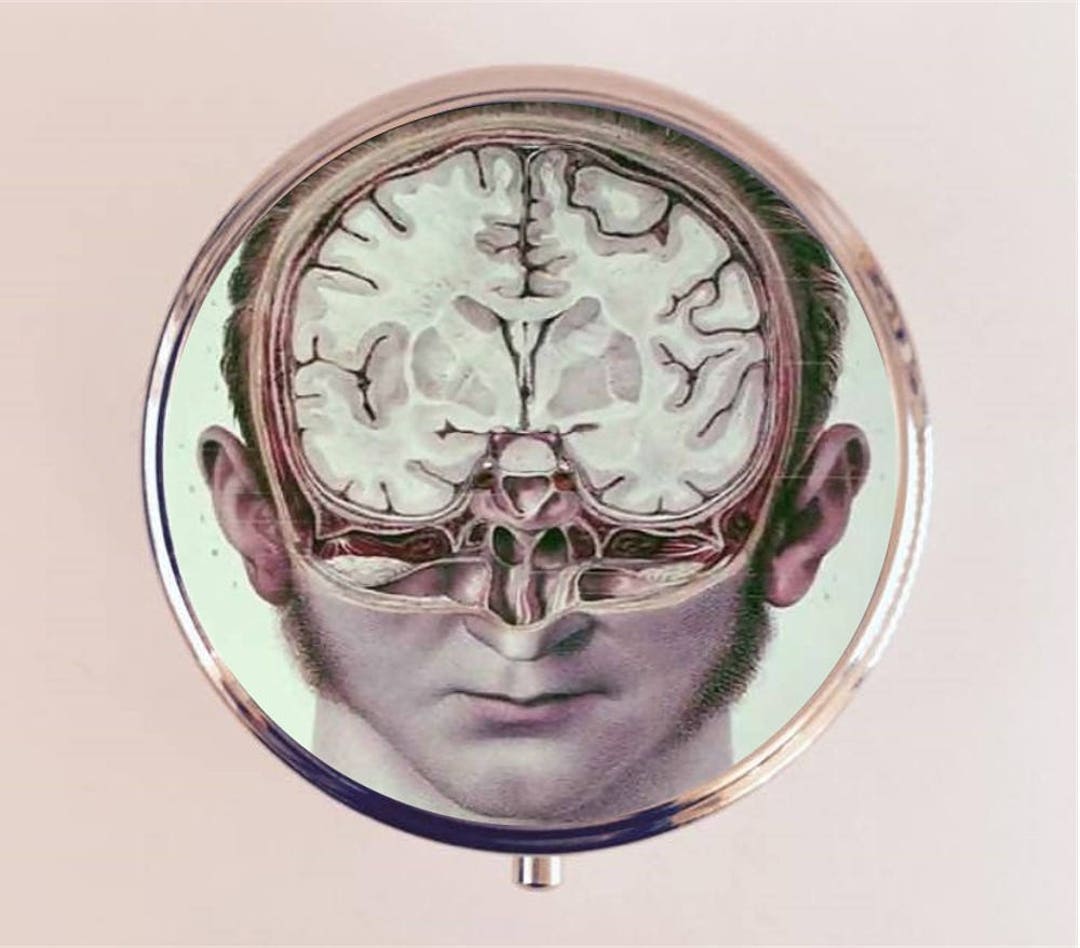 Anatomy Brain Pill Box Case Pillbox Holder Trinket Victorian Medical ...