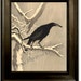 Crow Woodblock Art Print 8 X 10 Japanese Bird on Branch - Etsy