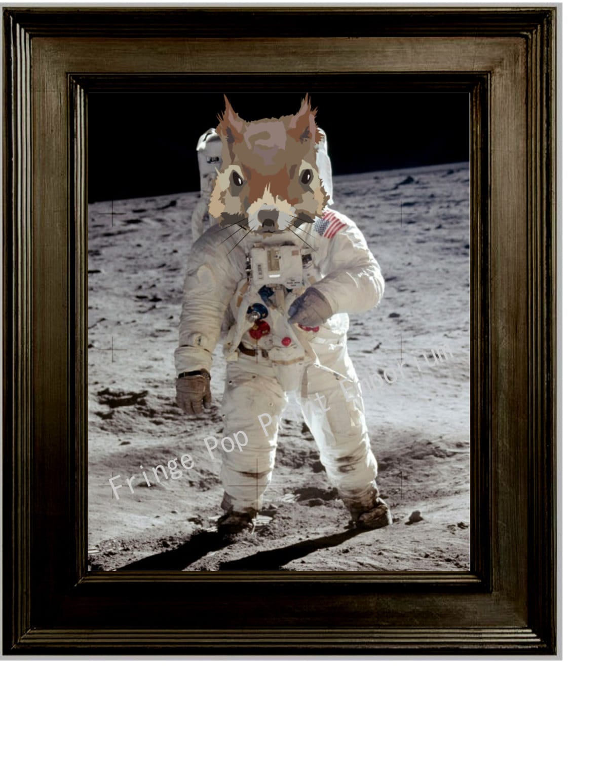 Squirrel In A Space Suit