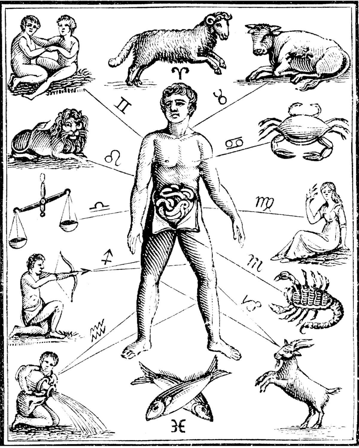 Zodiac Man Art Print 8 x 10 Medical Astrology Astrological | Etsy