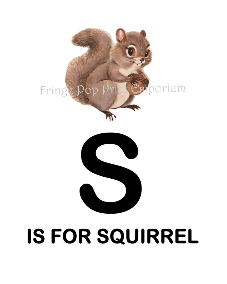 Squirrel Alphabet Art Print 8 X 10 - Children's Room Wall Art ...