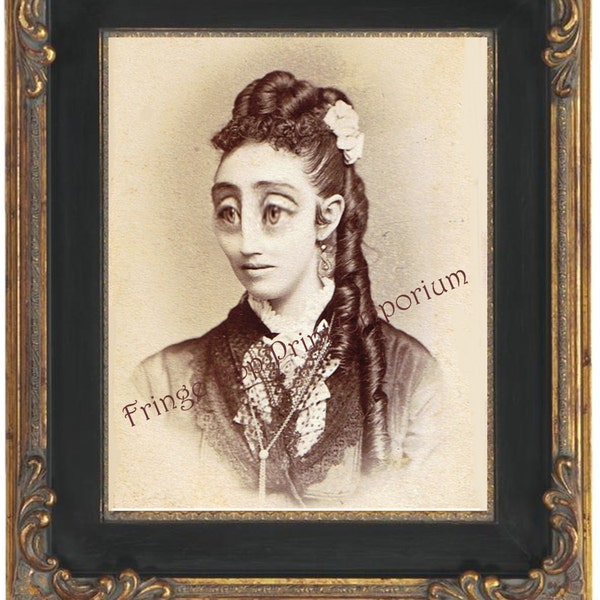 Victorian Lowbrow - Etsy