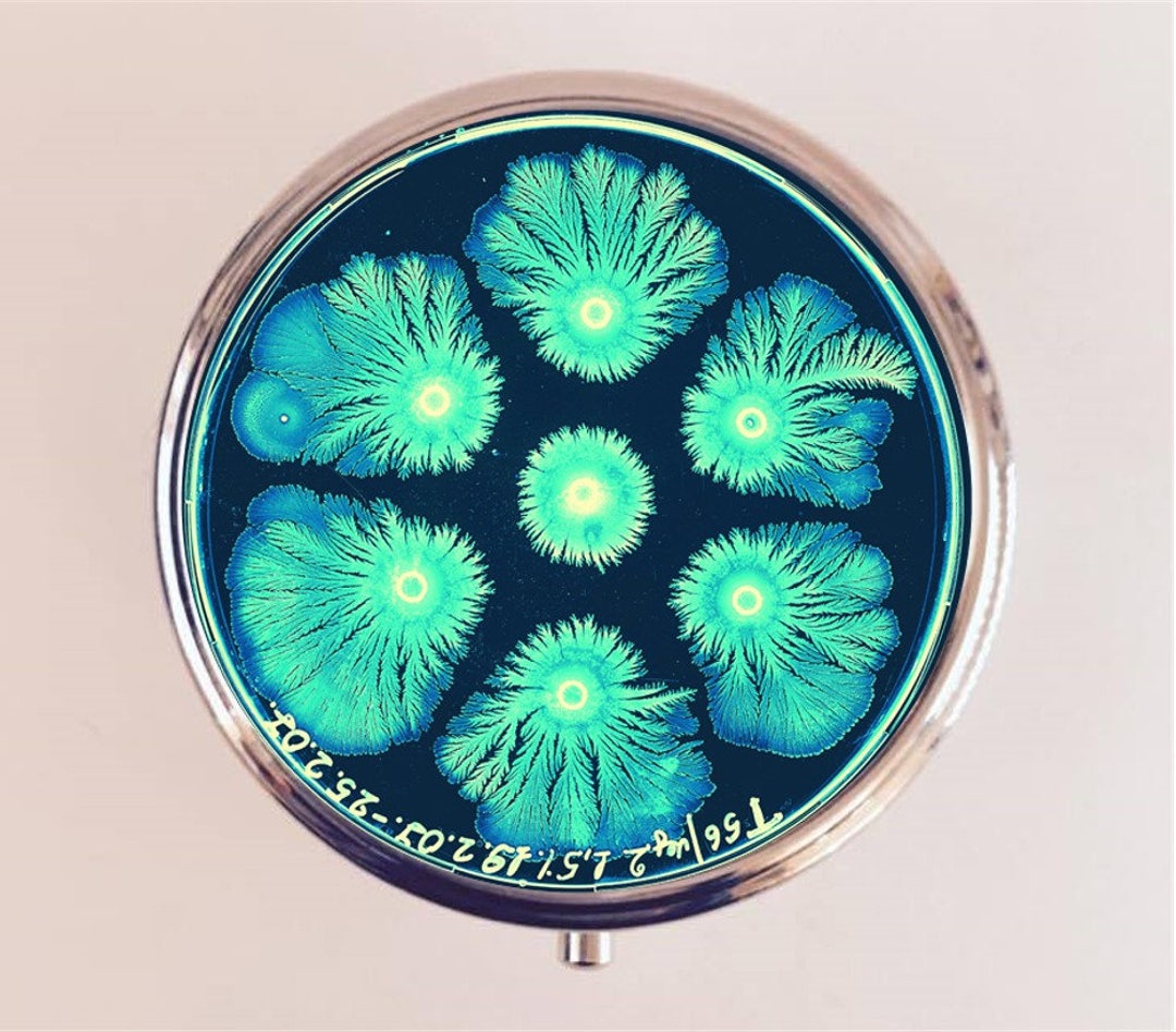 Microscope Slide Pill Box Case Pillbox Holder Trinket Colony of ...