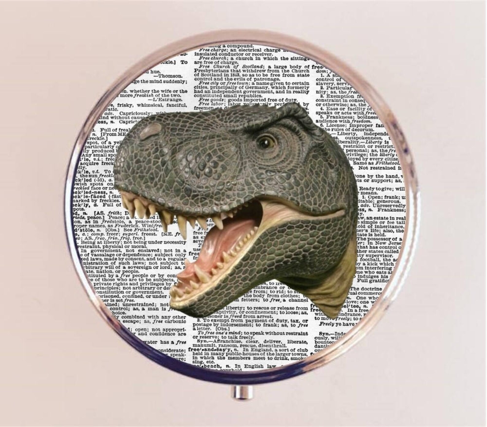 T-rex Dinosaur Pill Box Case Pillbox Holder Trinket Box - Etsy