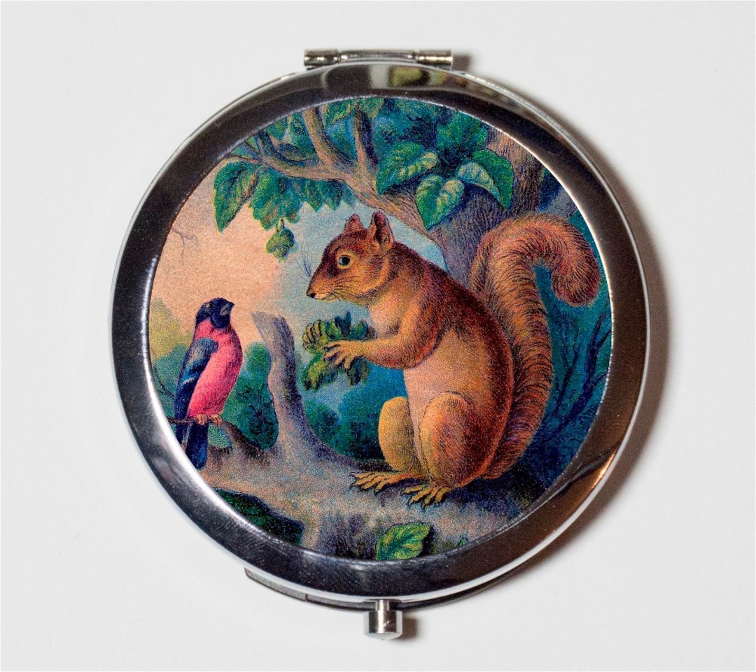 Squirrel and Bird Compact Mirror - Woodland Creatures Animal Art - Make ...