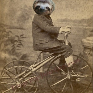 Sloth Bike Art Print 8 X 10 - Victorian Anthropomorphic Altered Art ...