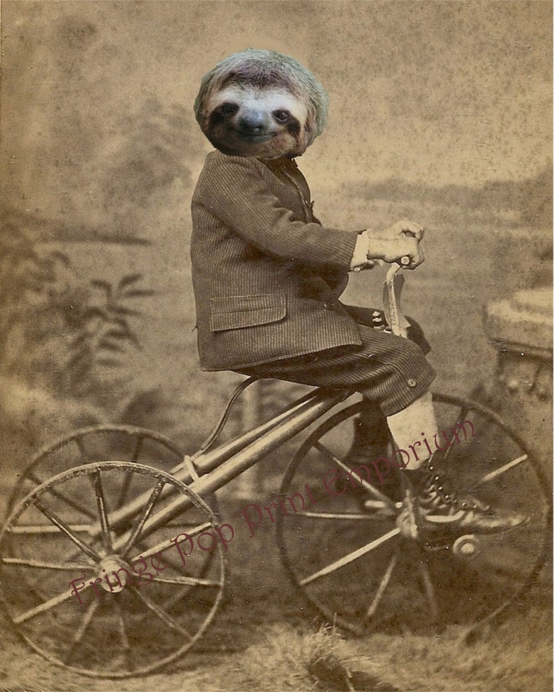 Sloth Bike Art Print 8 X 10 Victorian Anthropomorphic - Etsy UK