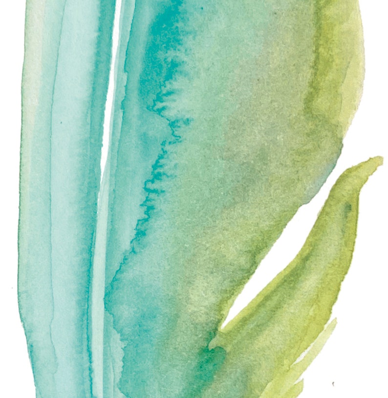 Green and Teal Watercolor Feathers, Multiple Sizes Included for INSTANT ...