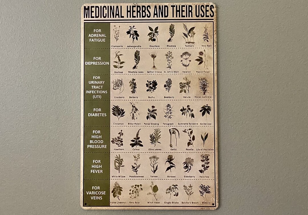 Medicinal Herbs and Their Uses Wall Art Decor, Natural Medicines, Metal ...